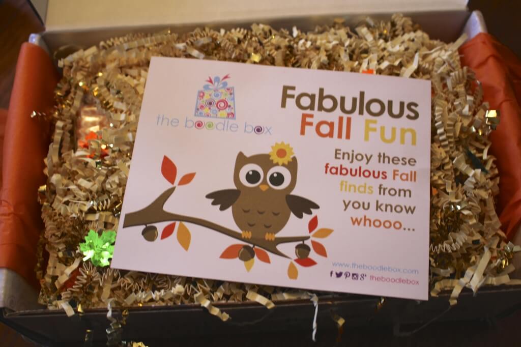 November 2014 The Boodle Box Review -Teen Subscription Box - Hello ...