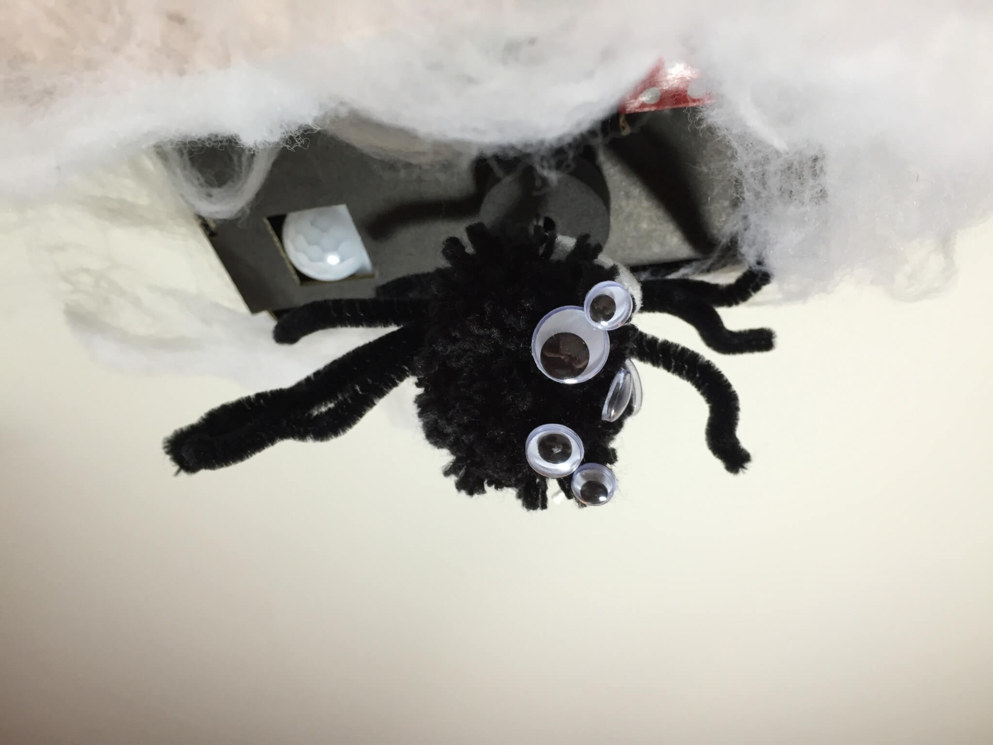 Tinker Crate Motion Sensing Spider Review - Last Day to Save on Kiwi ...