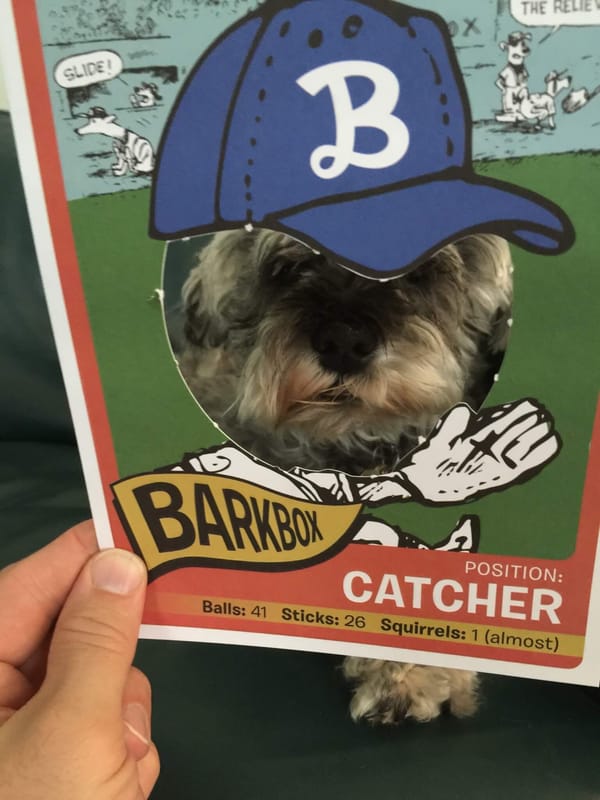 Barkbox April 2016 Subscription Box Review + Coupon - Hello Subscription