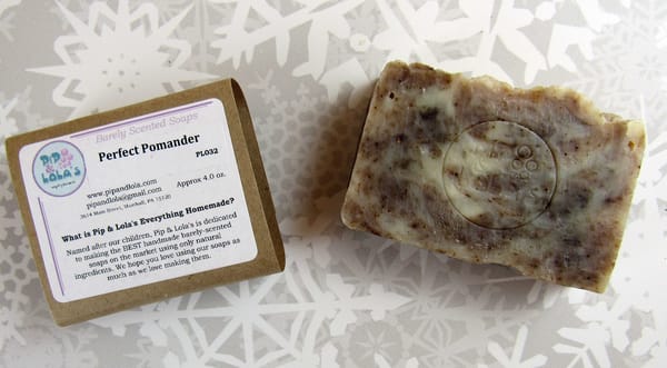 Pip & Lola's Everything Homemade Soapy Subscription Box Review + Coupon ...