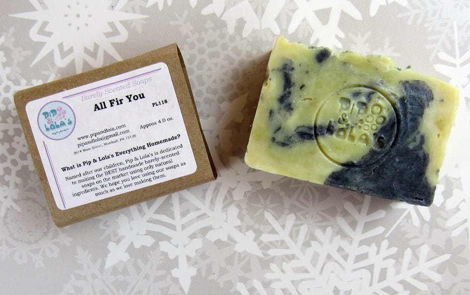 Pip & Lola's Everything Homemade Soapy Subscription Box Review + Coupon ...