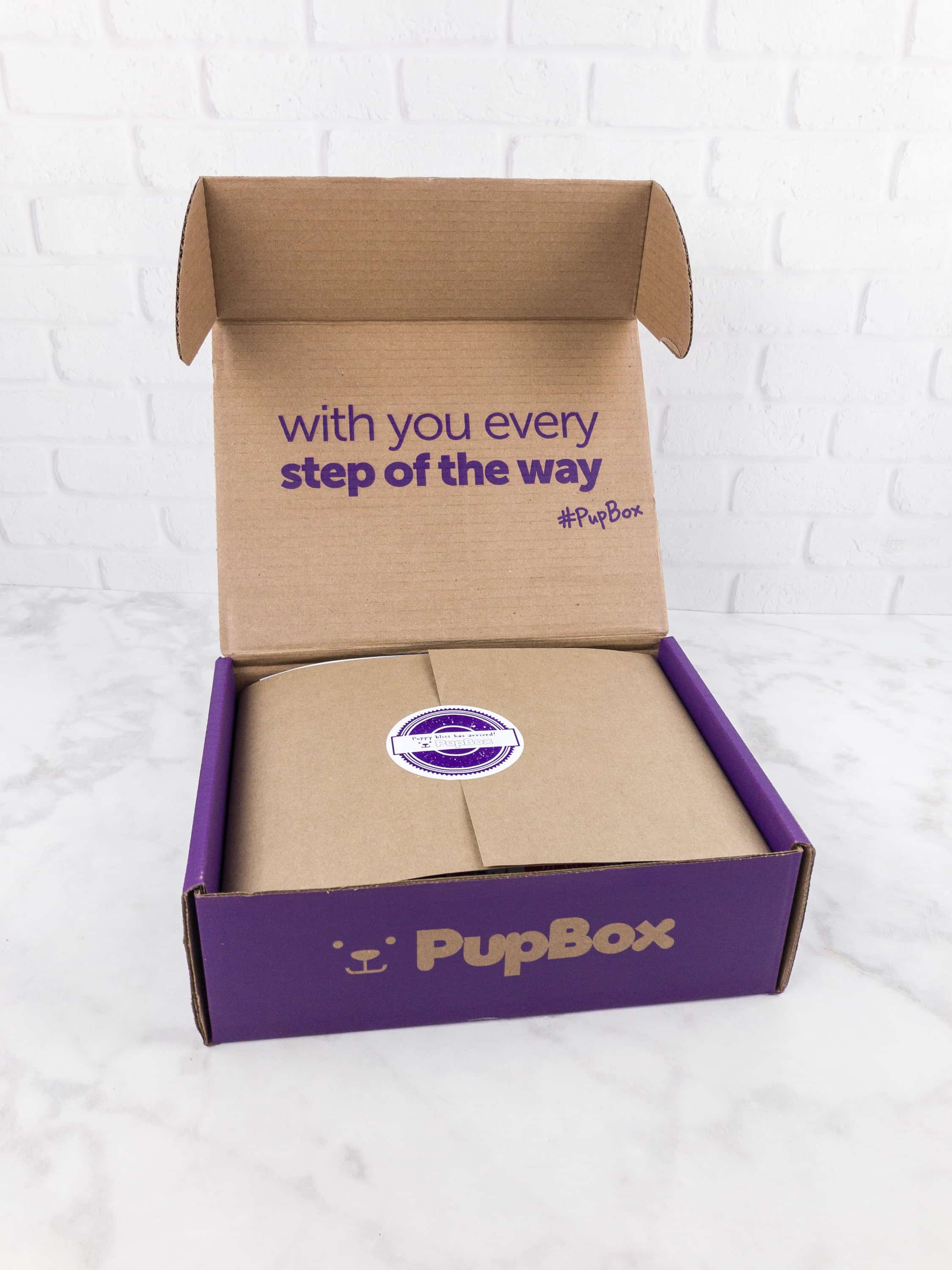 PupBox July 2017 Subscription Box Review + Coupon! - Hello Subscription
