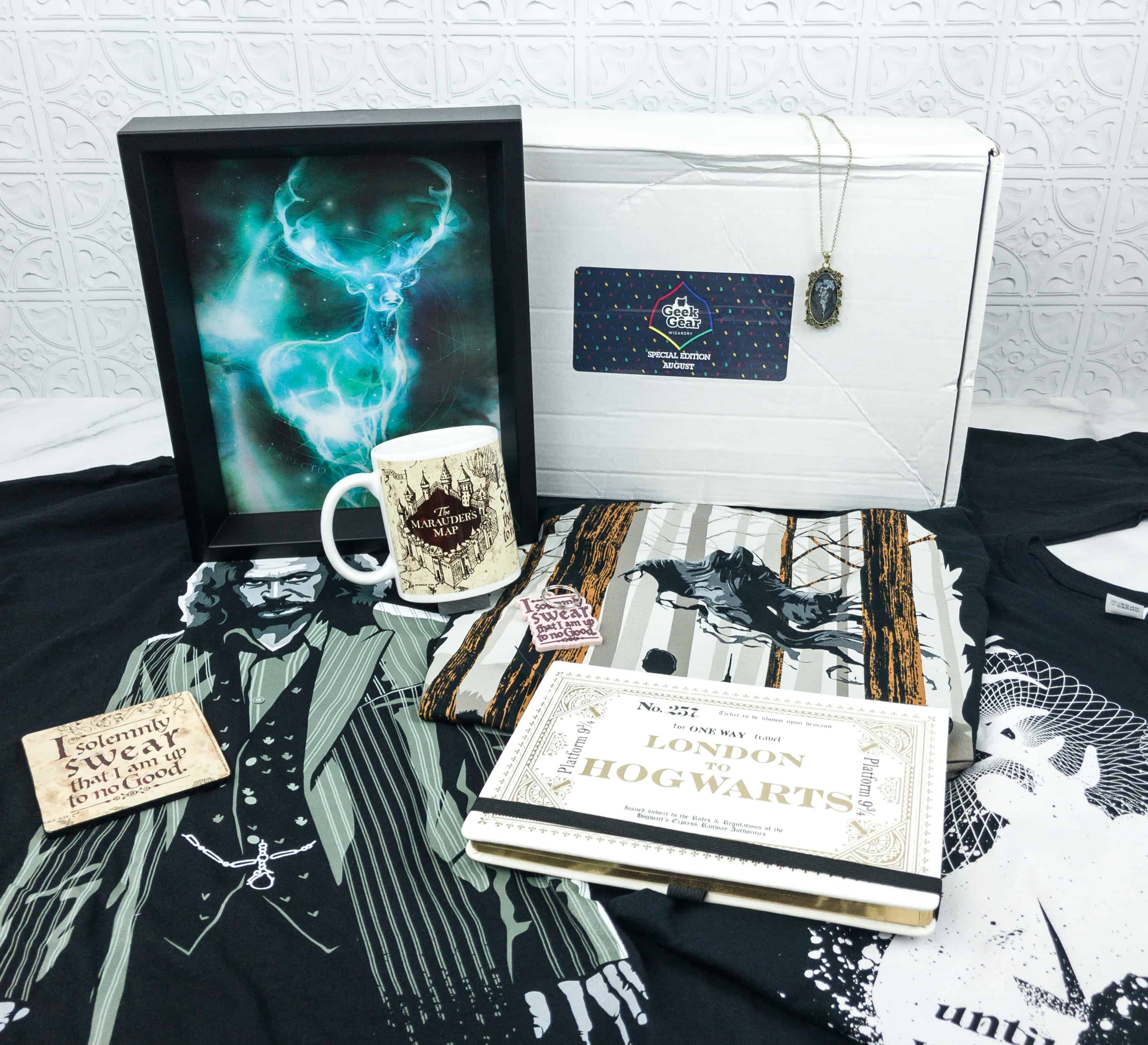 Geek Gear World of Wizardry August 2018 Special Edition Box Review ...