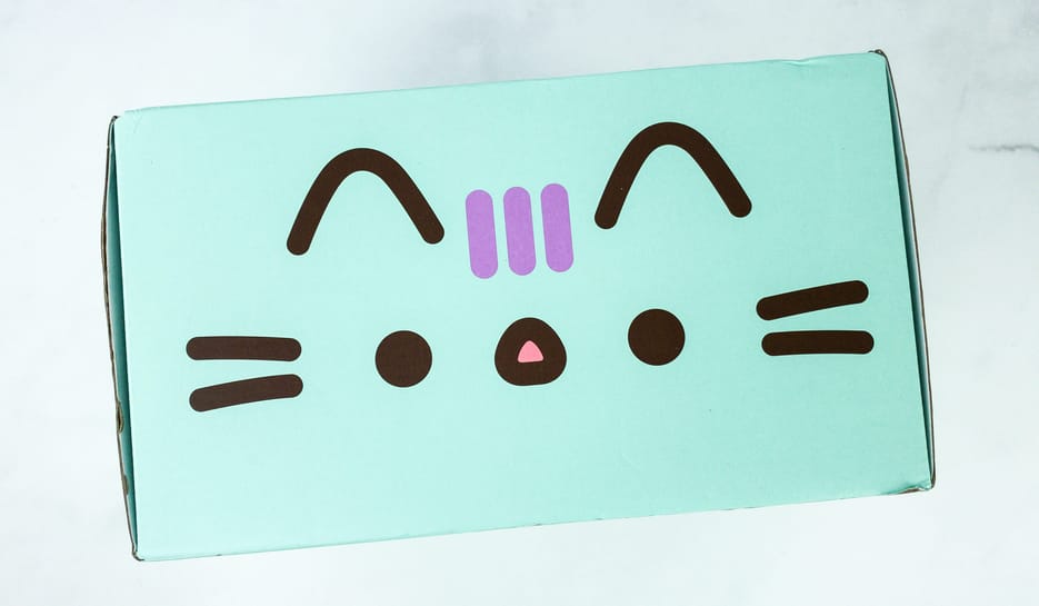 Pusheen Box Fall 2019 Subscription Box Review - Hello Subscription