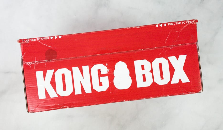Kong Club Review + Coupon - December 2020 - Hello Subscription