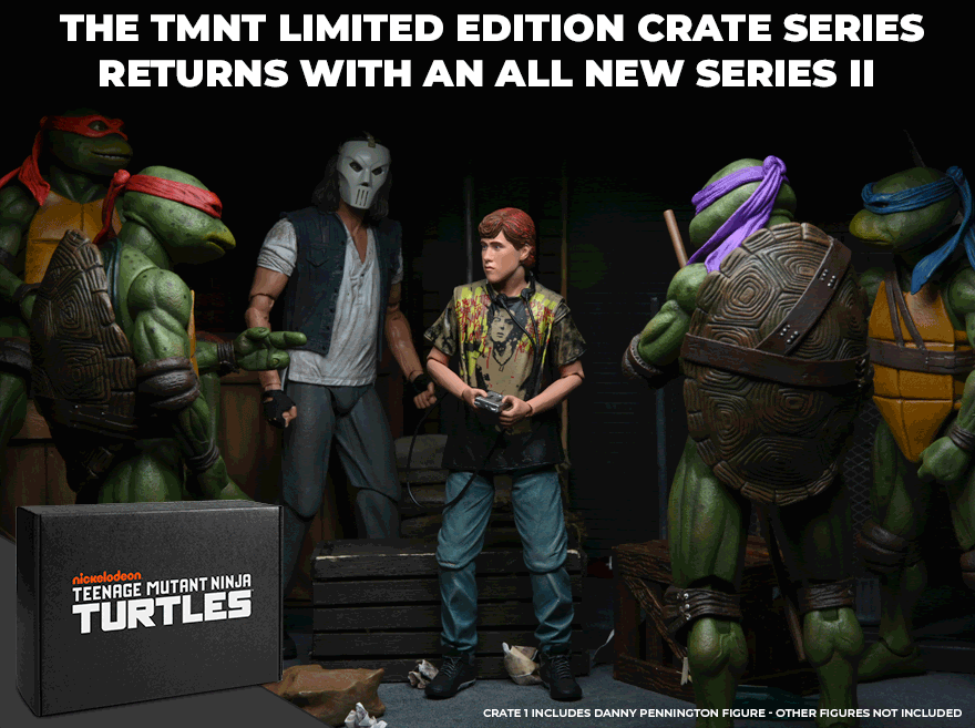 New Loot Crate Limited Edition Teenage Mutant Ninja Turtles Crates II ...