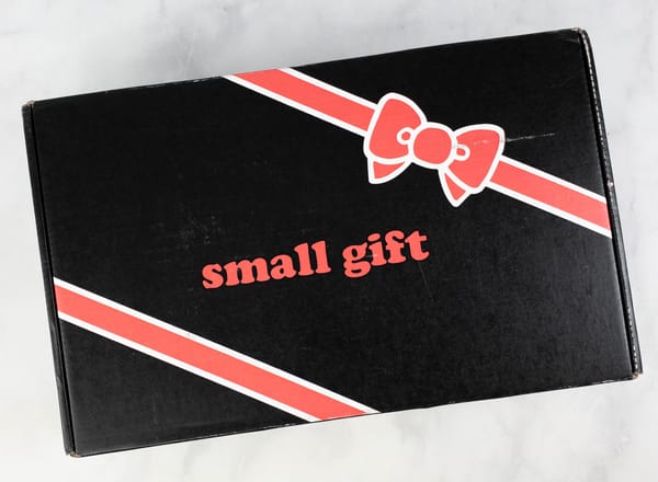 Hello Kitty and Friends Box Review + Coupon - April 2021 - Hello ...