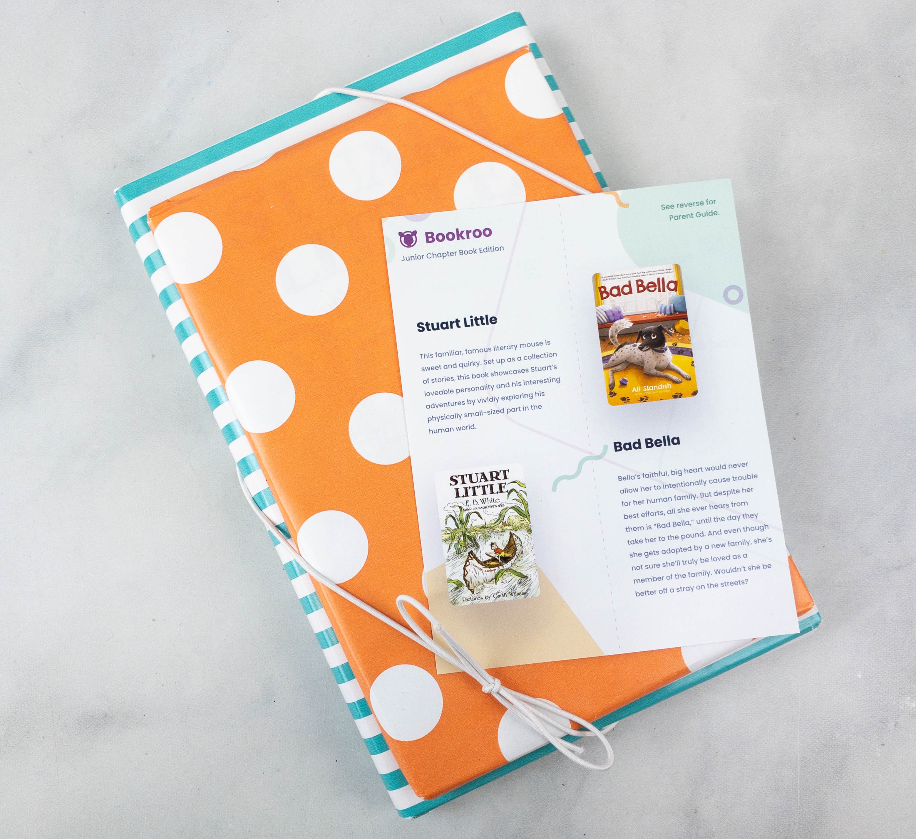 Bookroo Junior Chapter Book Club Review: Animal-Themed Titles! - Hello ...
