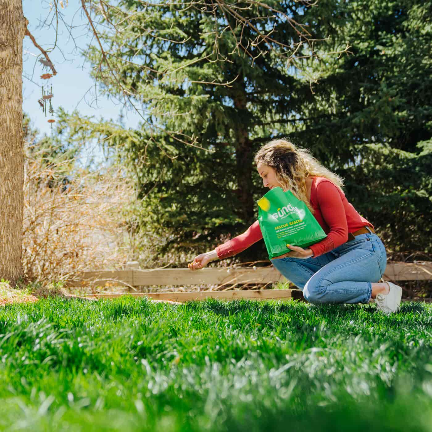Say Hello To Sunday – A Subscription for All-Natural Lawn Care Products ...