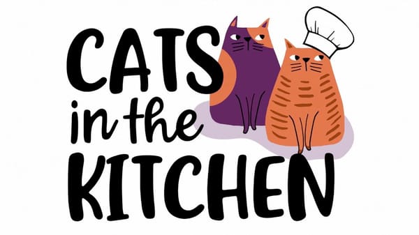 Cat Lady Box November 2023 Spoilers! - Hello Subscription