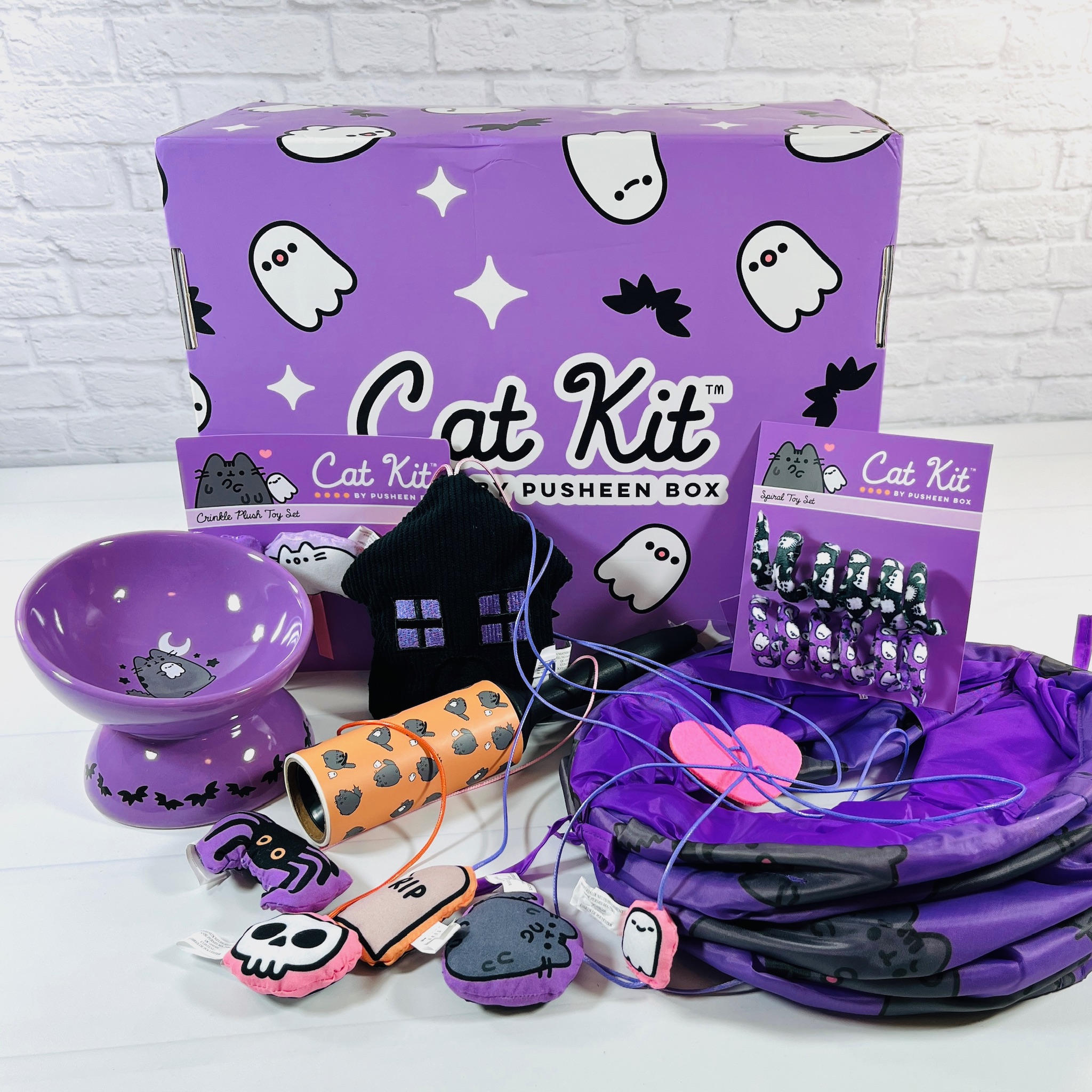 Cat Kit by Pusheen Box Fall 2023 Review: SCAREDY CAT - Hello Subscription