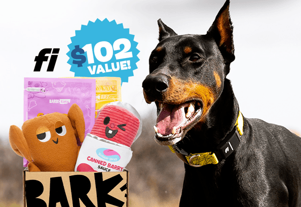BarkBox & Super Chewer Deal: FREE Fi Collar + 6 Months of FREE GPS With ...