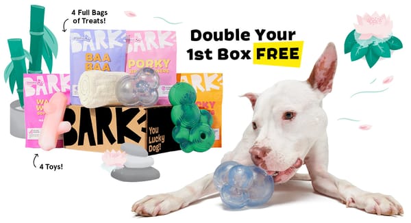Super Chewer Coupon: First Box Double Deluxe Deal + Spa Day Themed Box ...