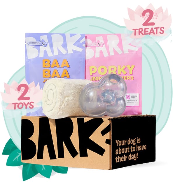 Super Chewer Coupon: First Box Double Deluxe Deal + Spa Day Themed Box ...