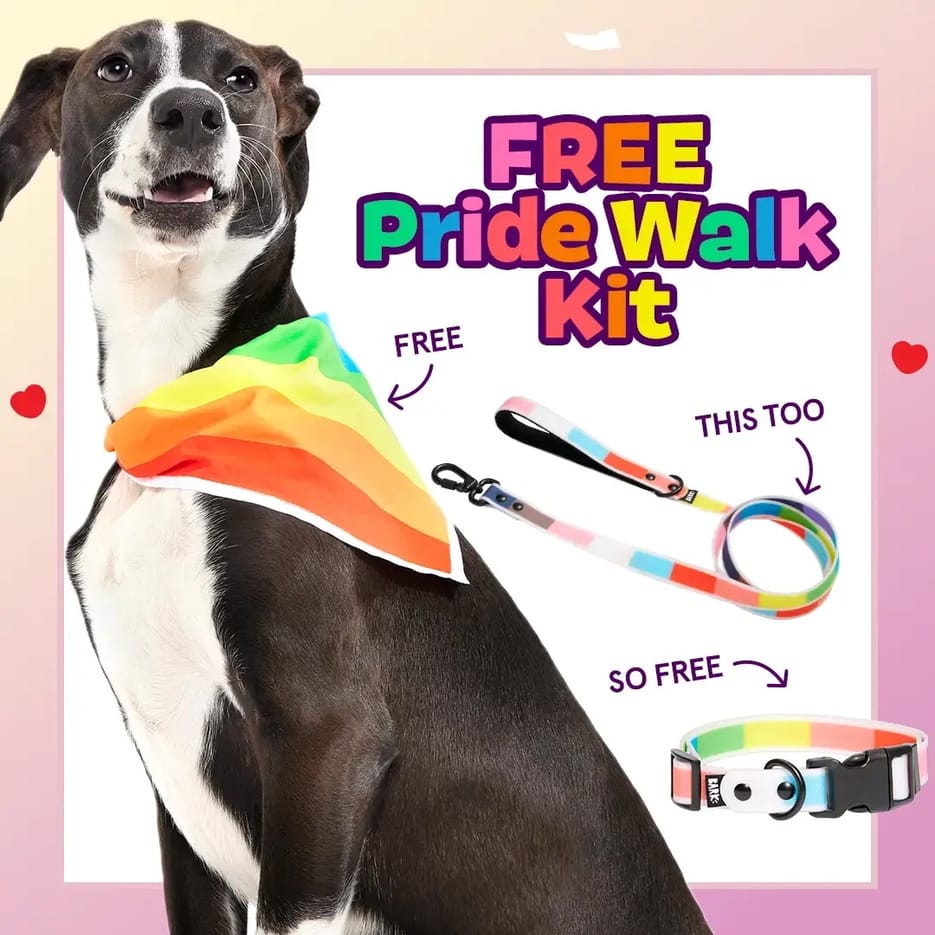 BarkBox and Super Chewer Coupon: FREE Pride Walk Kit With Your First ...