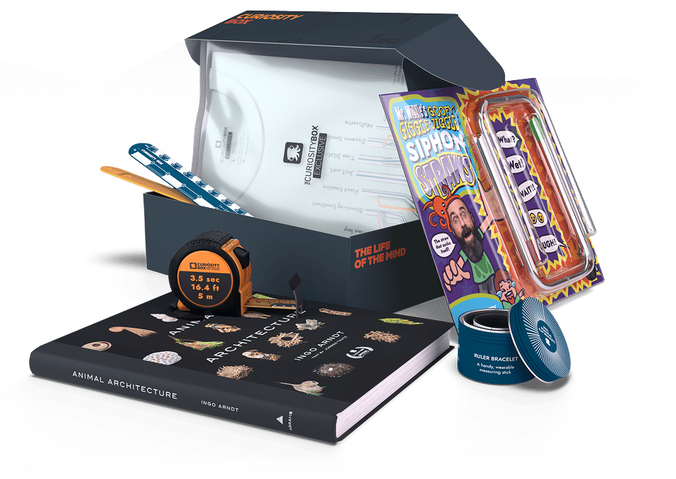 The Curiosity Box Fall 2025 Spoilers! - Hello Subscription